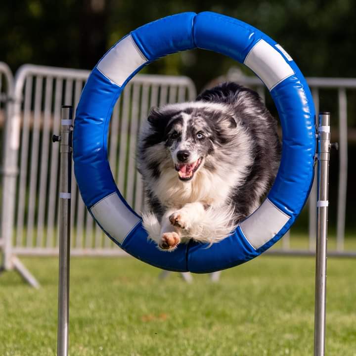 A WONDERFUL EXPERIENCE – grandedaze.com