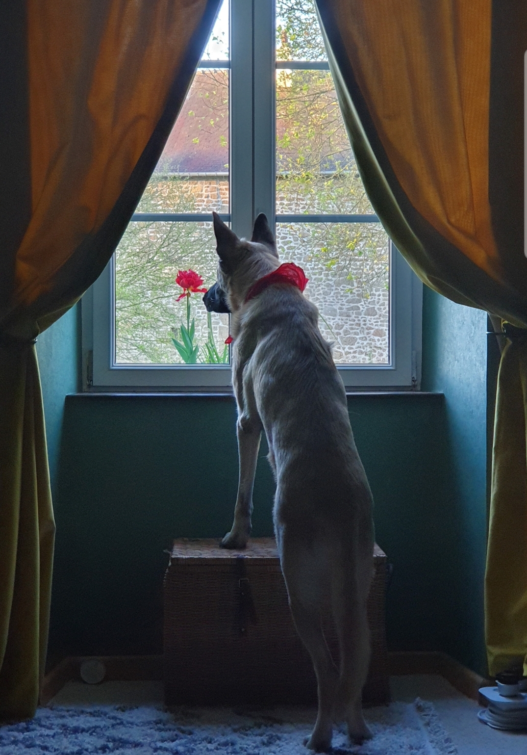 Noaks: A New Chapter After Max’s Tragic Passing – grandedaze.com