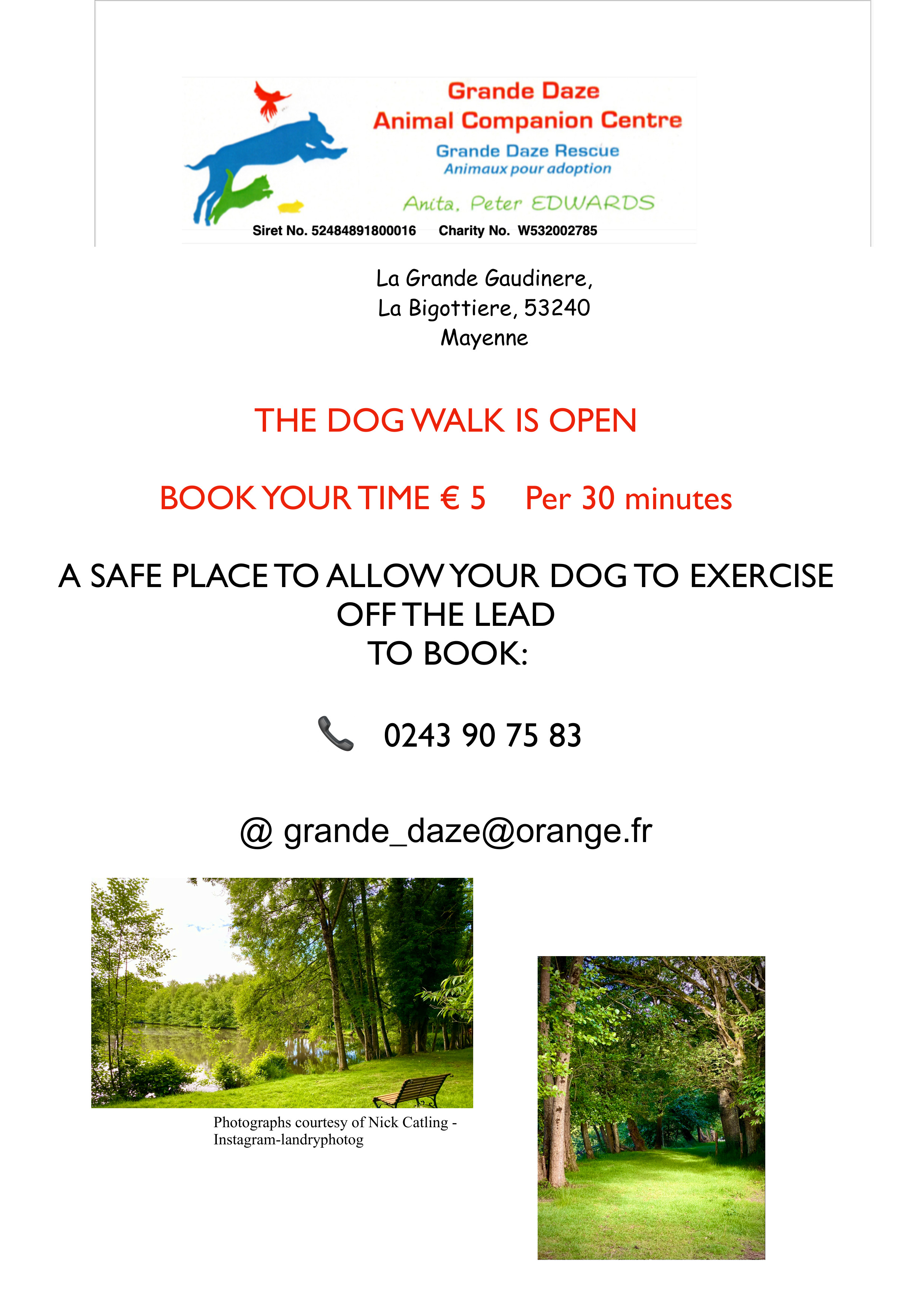 THE DOG WALK – grandedaze.com